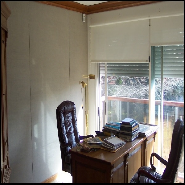 sonare - Ing. Pablo Cibulis